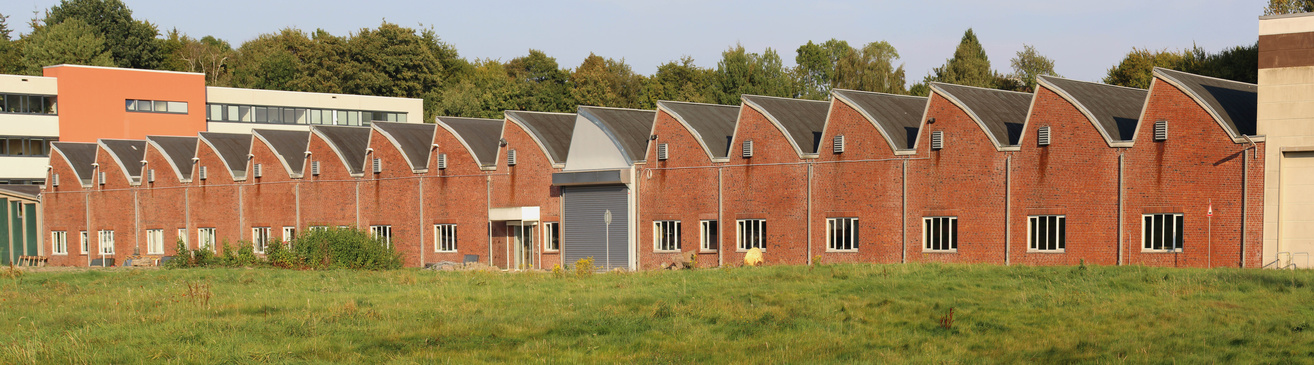 Sheddach im industriellen und privaten Umfeld