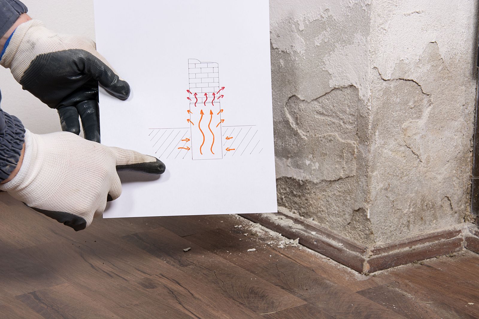 Wie Sie feuchte Wände sanieren und Schimmel vermeiden